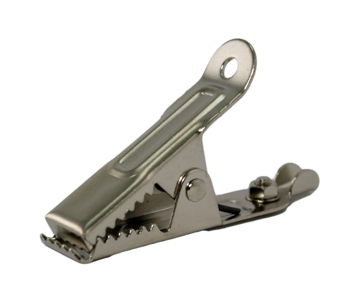 Croc Clips | Portsmouth Rentals